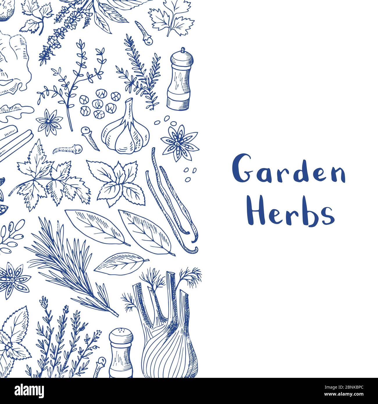 Vector hand drawn herbs and spices background with place for text ...