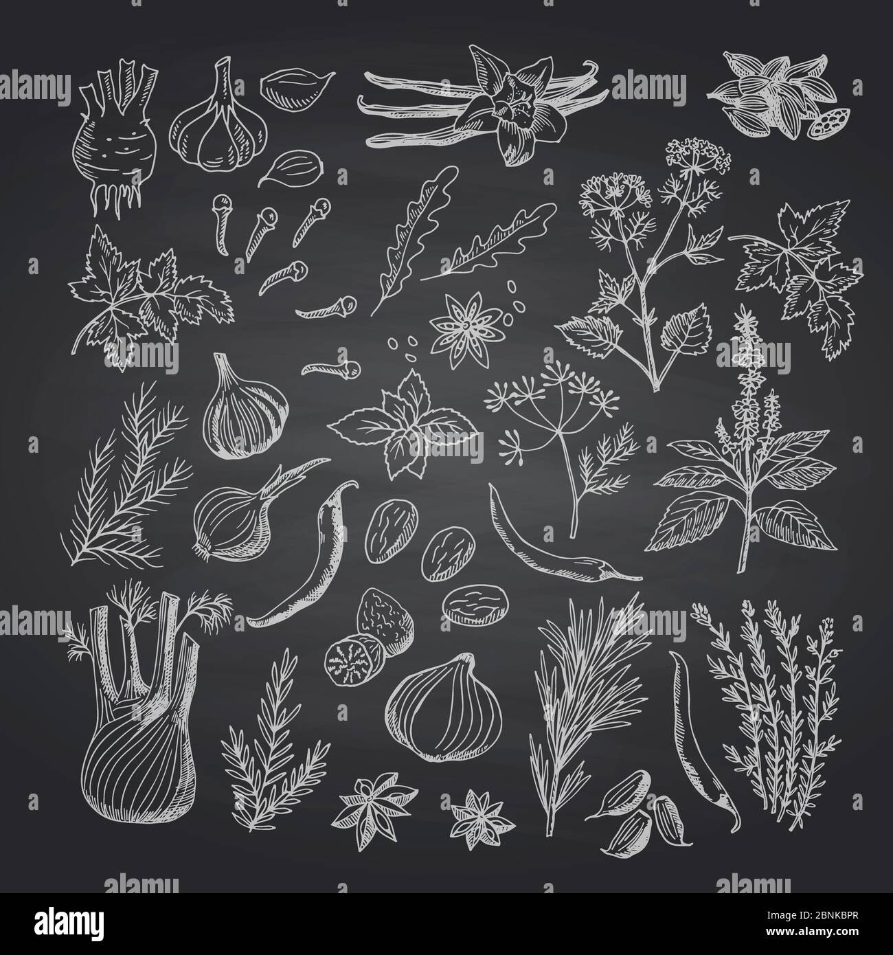 Vector hand drawn herbs and spices on black chalkboard illustration ...