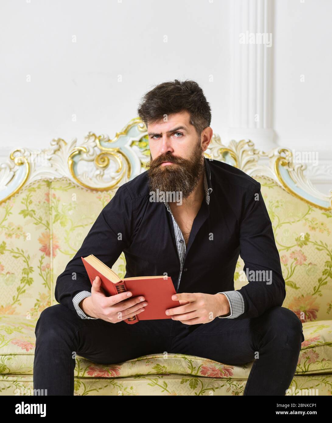 Lecturer sit on sofa and reading book, white wall background. Elite ...