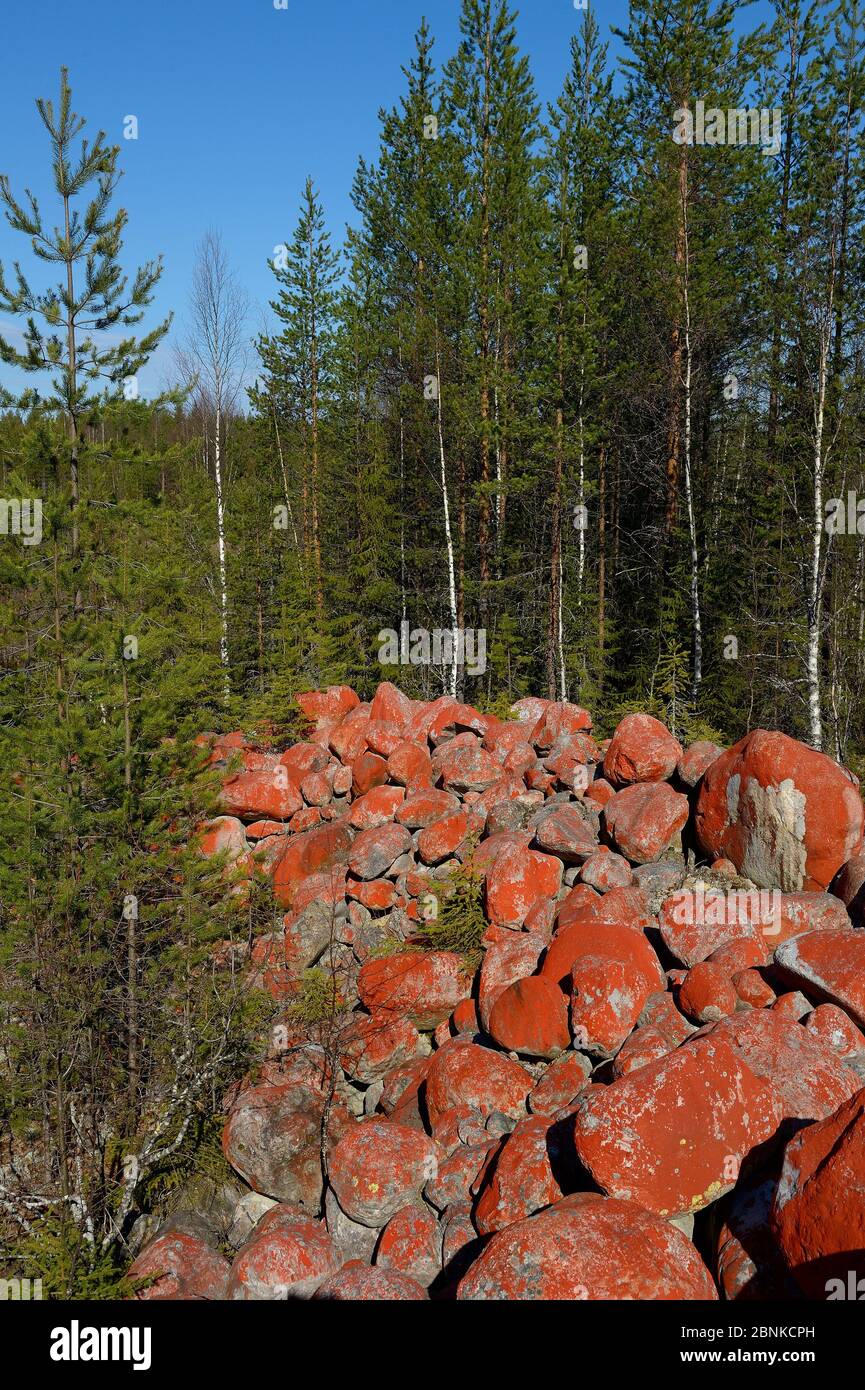 Boulders in the forest hi-res stock photography and images - Alamy