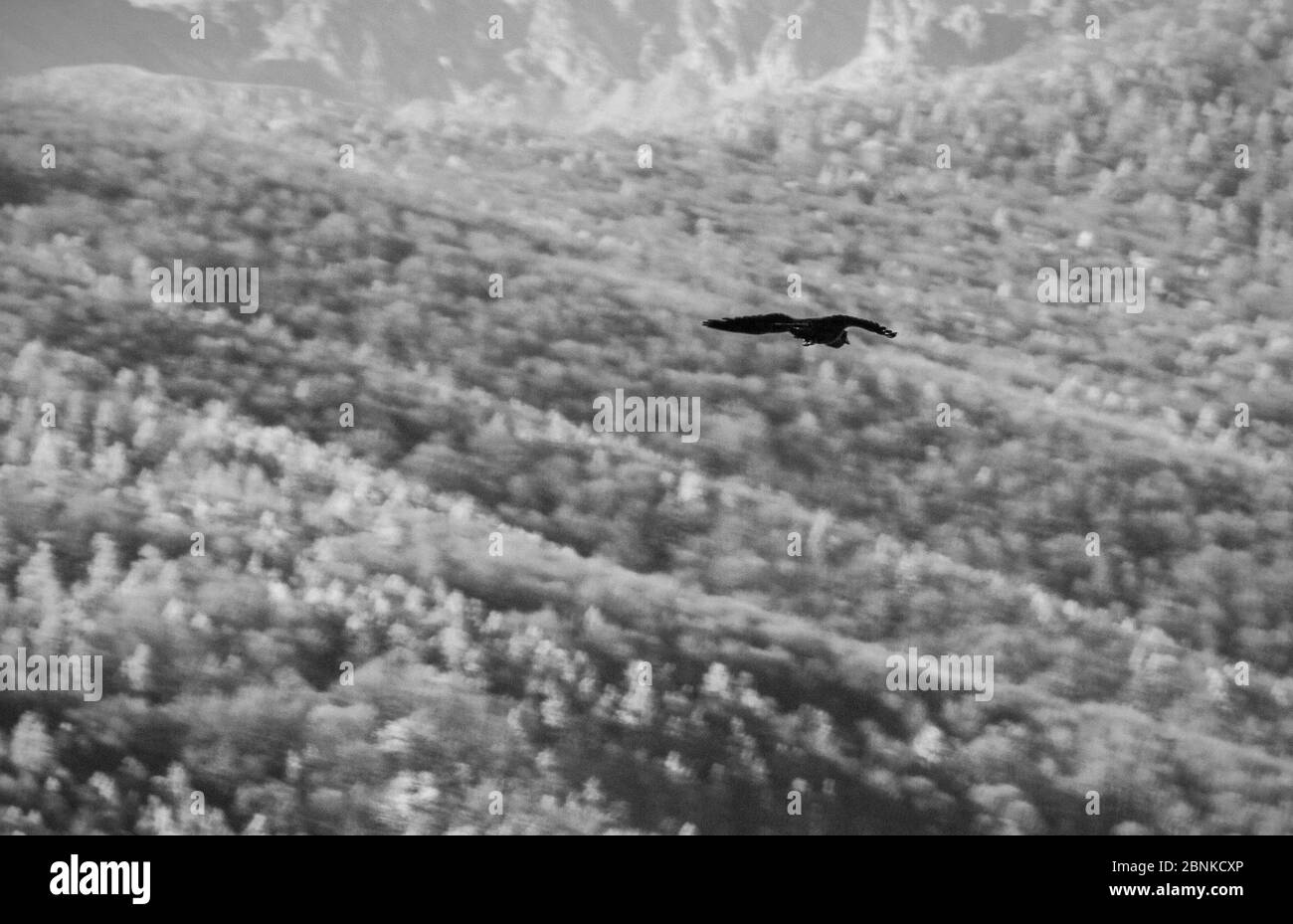 Cliff alpine mountain range Black and White Stock Photos & Images - Alamy
