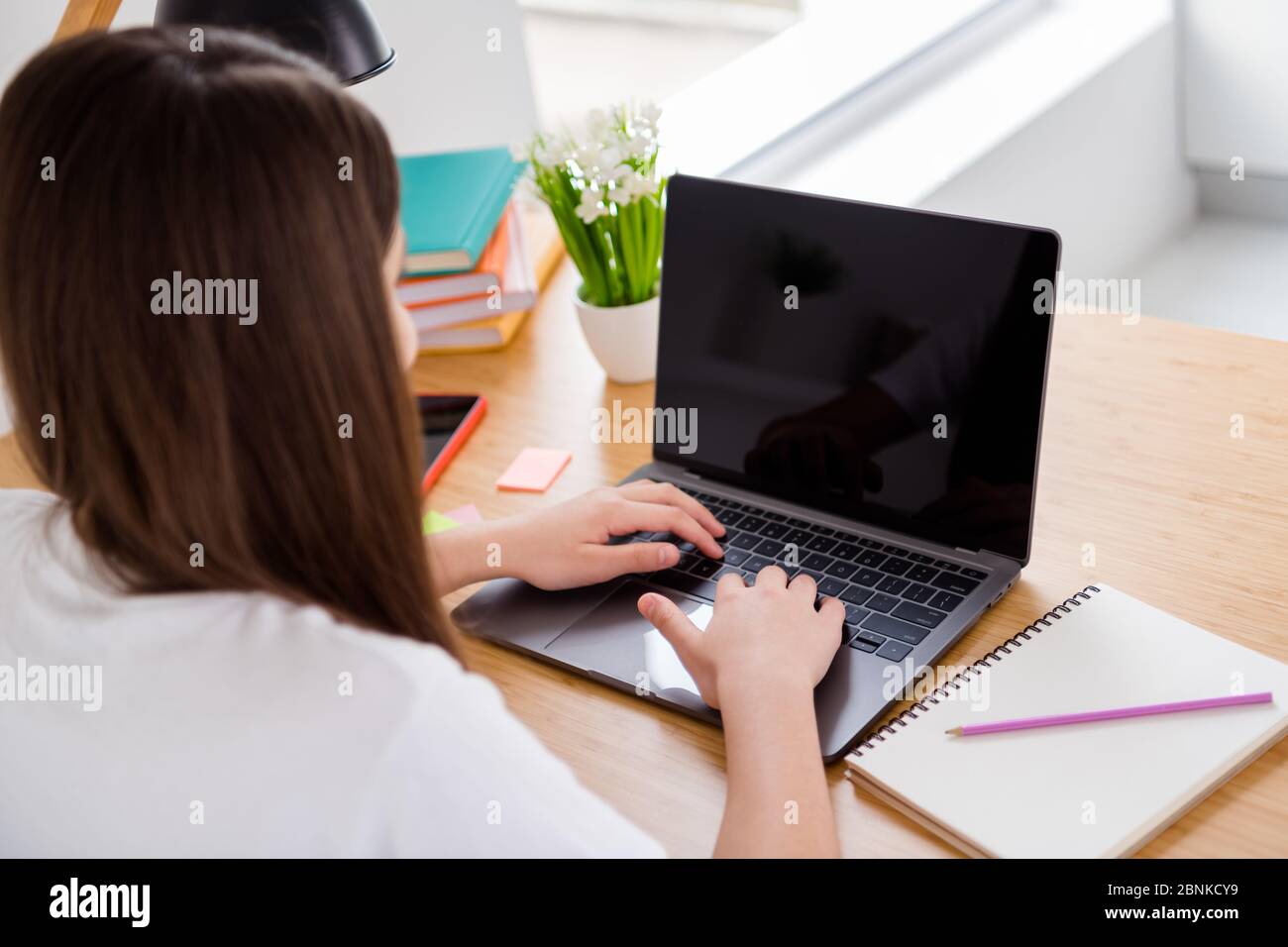 Child Computer Back View School High Resolution Stock Photography and ...