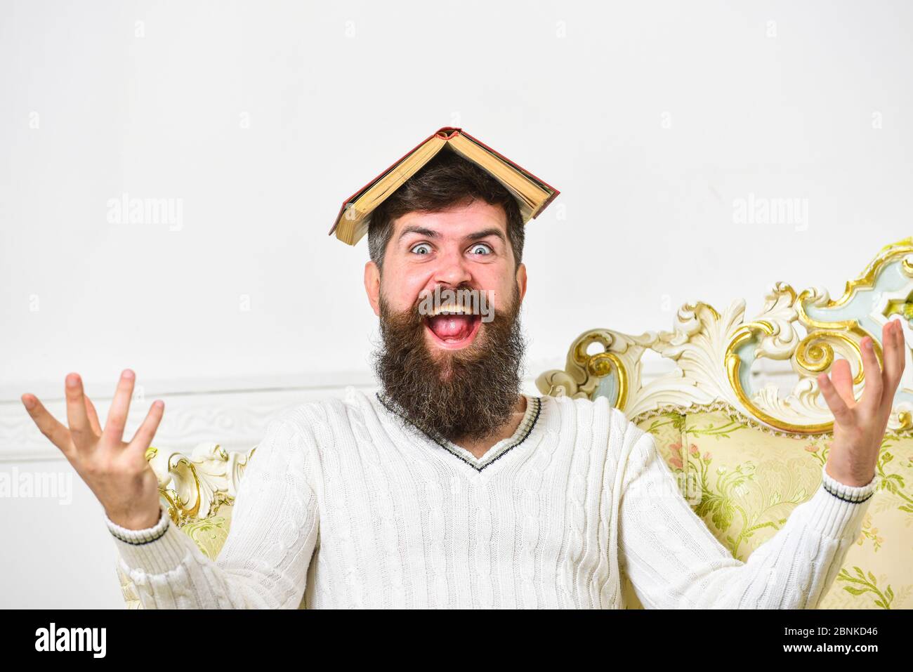Lose mind concept. Man on crazy face with beard and mustache sits on ...