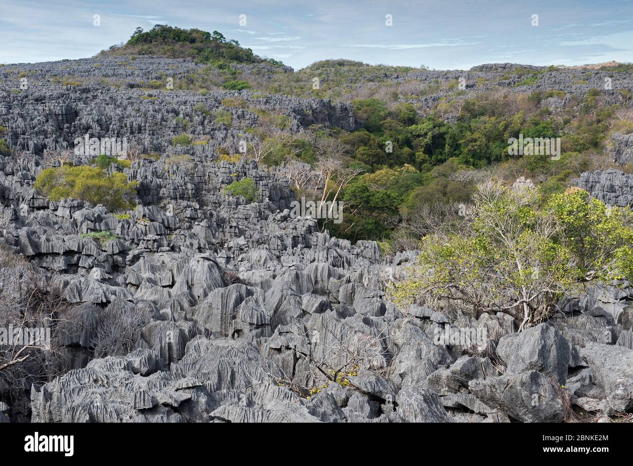 Tsingy karst-limestone formations, Ankarana National Park, Madagascar ...