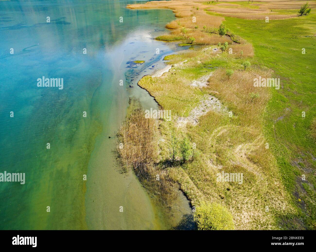 Panoramic aerial view deer hi-res stock photography and images - Alamy