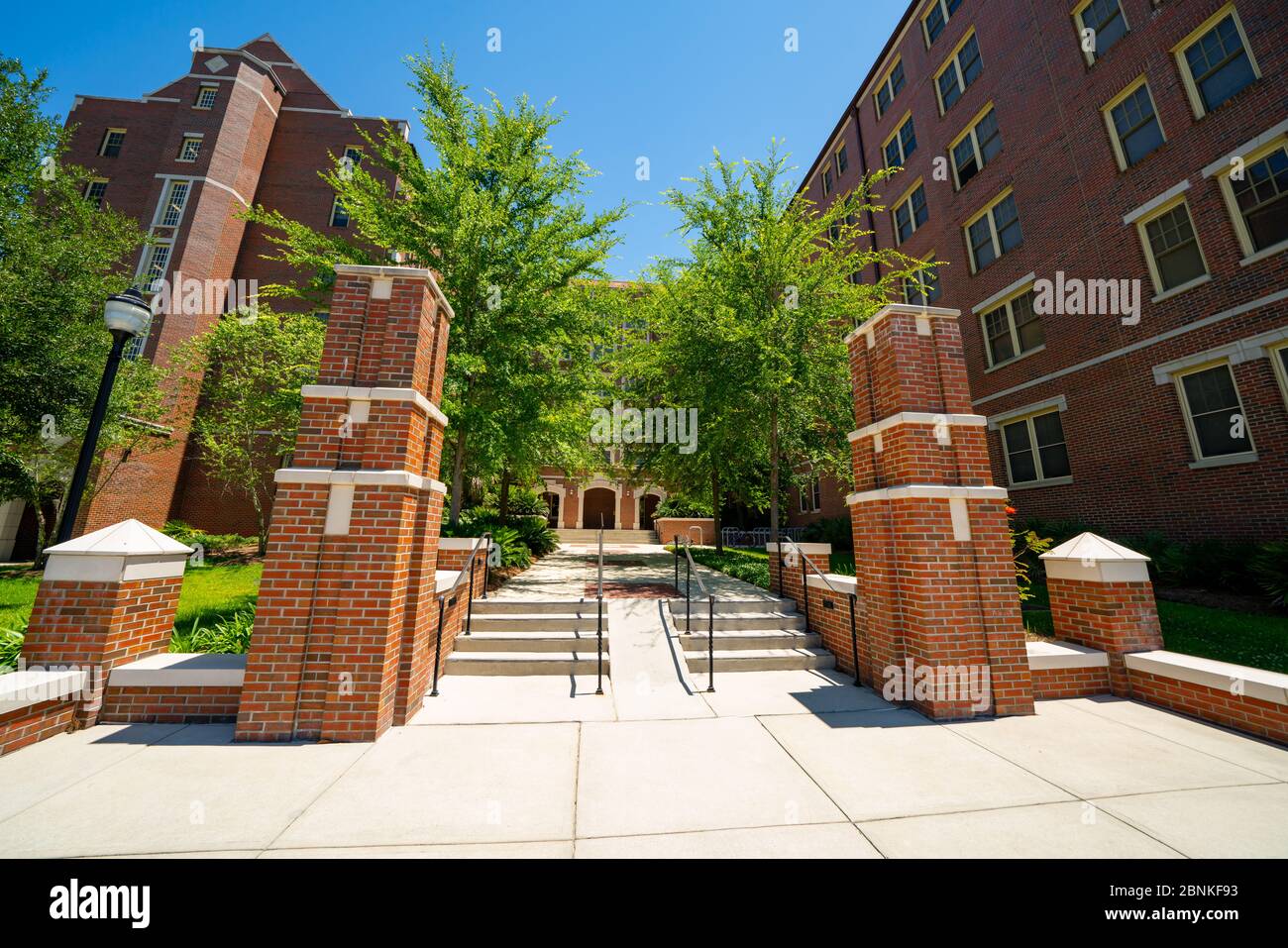 Florida State University campus scene Stock Photo - Alamy