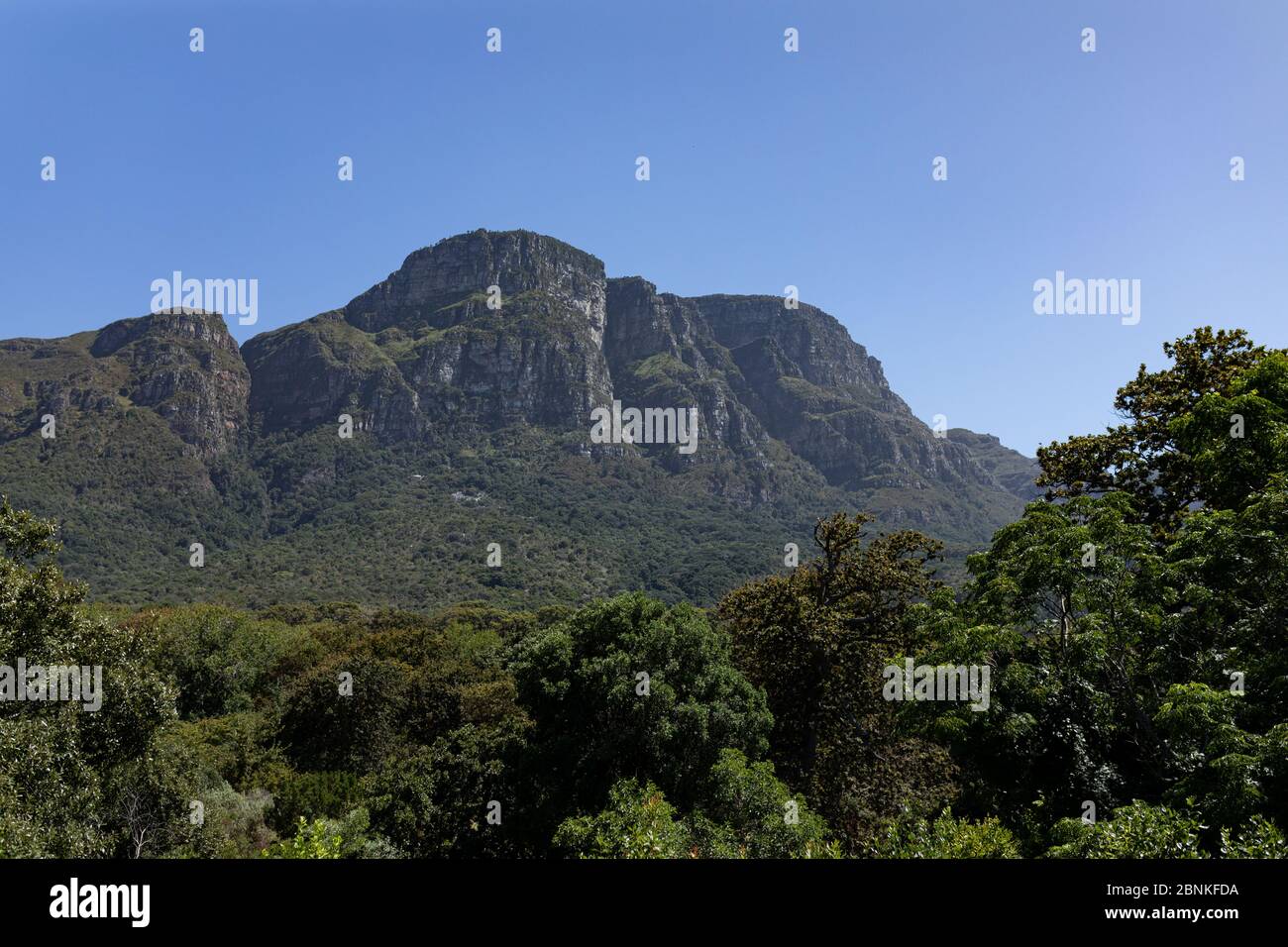 Magnificent view of mountains and multiple trees Stock Photo - Alamy