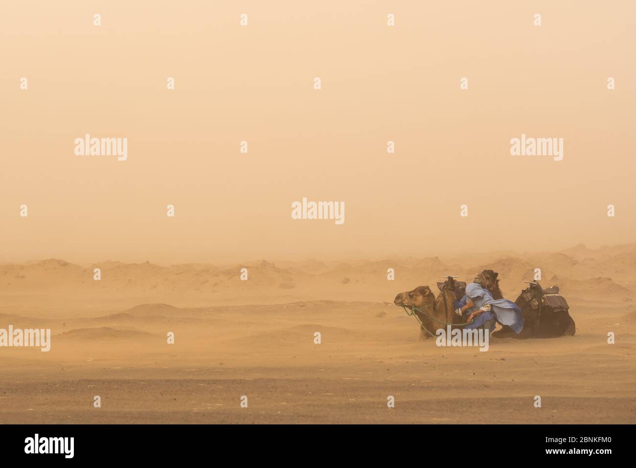 Sahara sand storm hi-res stock photography and images - Alamy