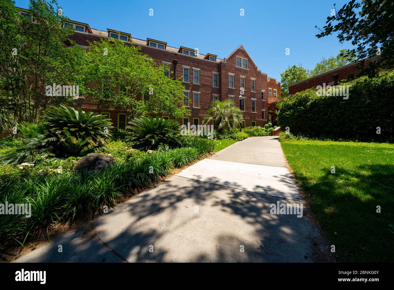 Florida State University campus garden landscape Stock Photo - Alamy