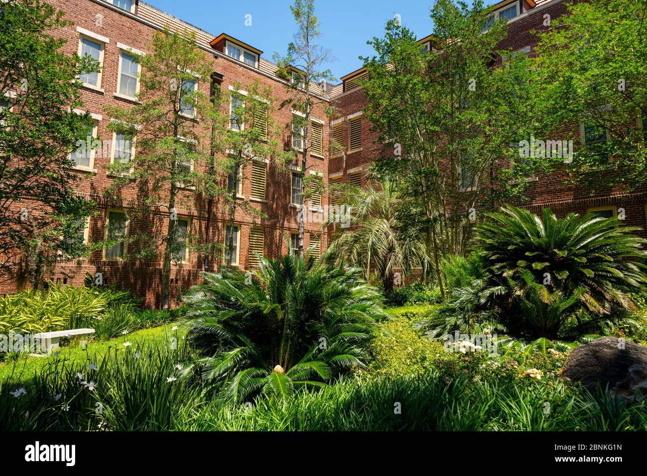 Florida State University campus garden landscape Stock Photo - Alamy