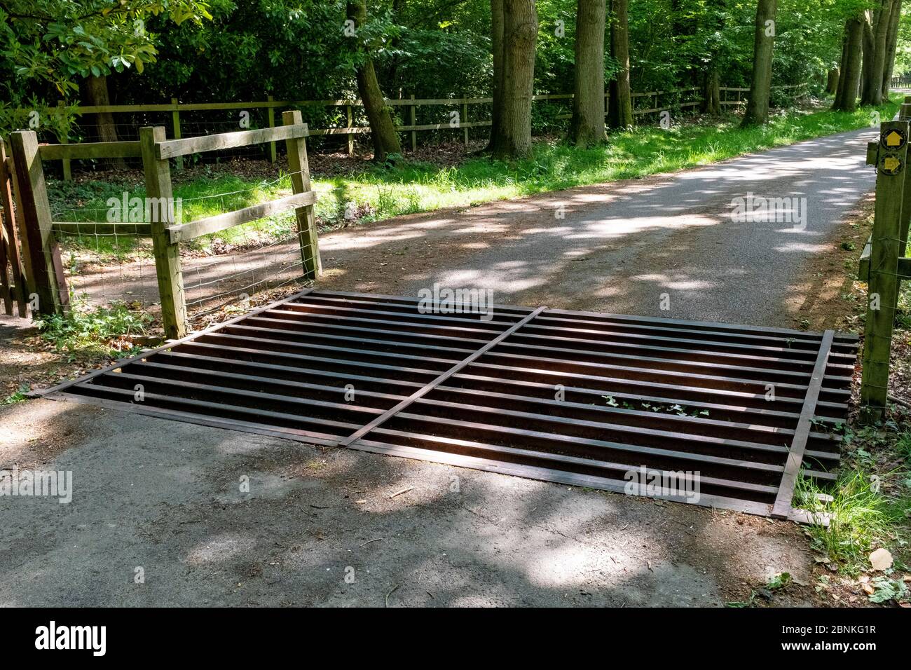A cattle grid in a country land in England Stock Photo - Alamy