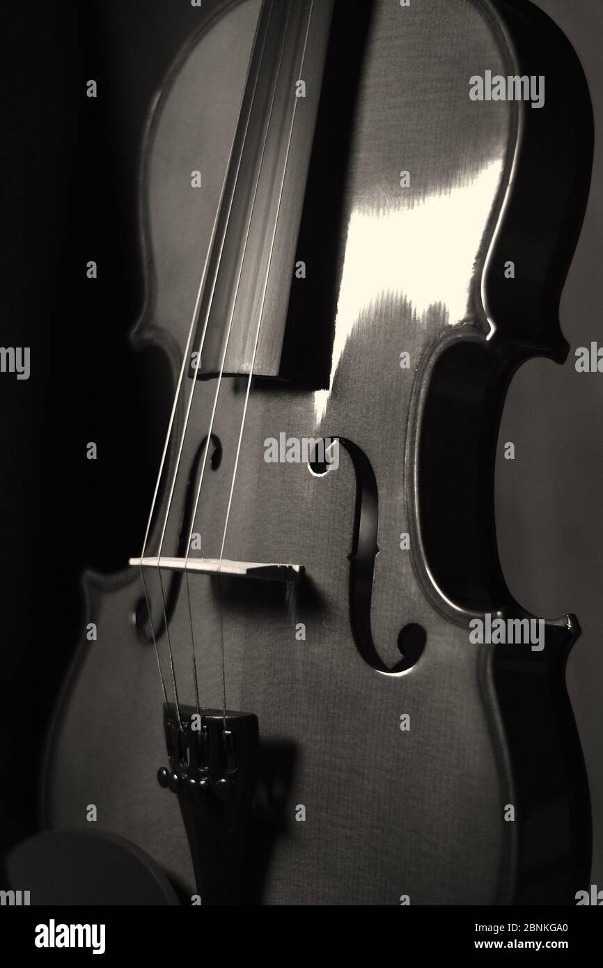 4 strings fiddle musical instrument classic style with sepia filter and ...