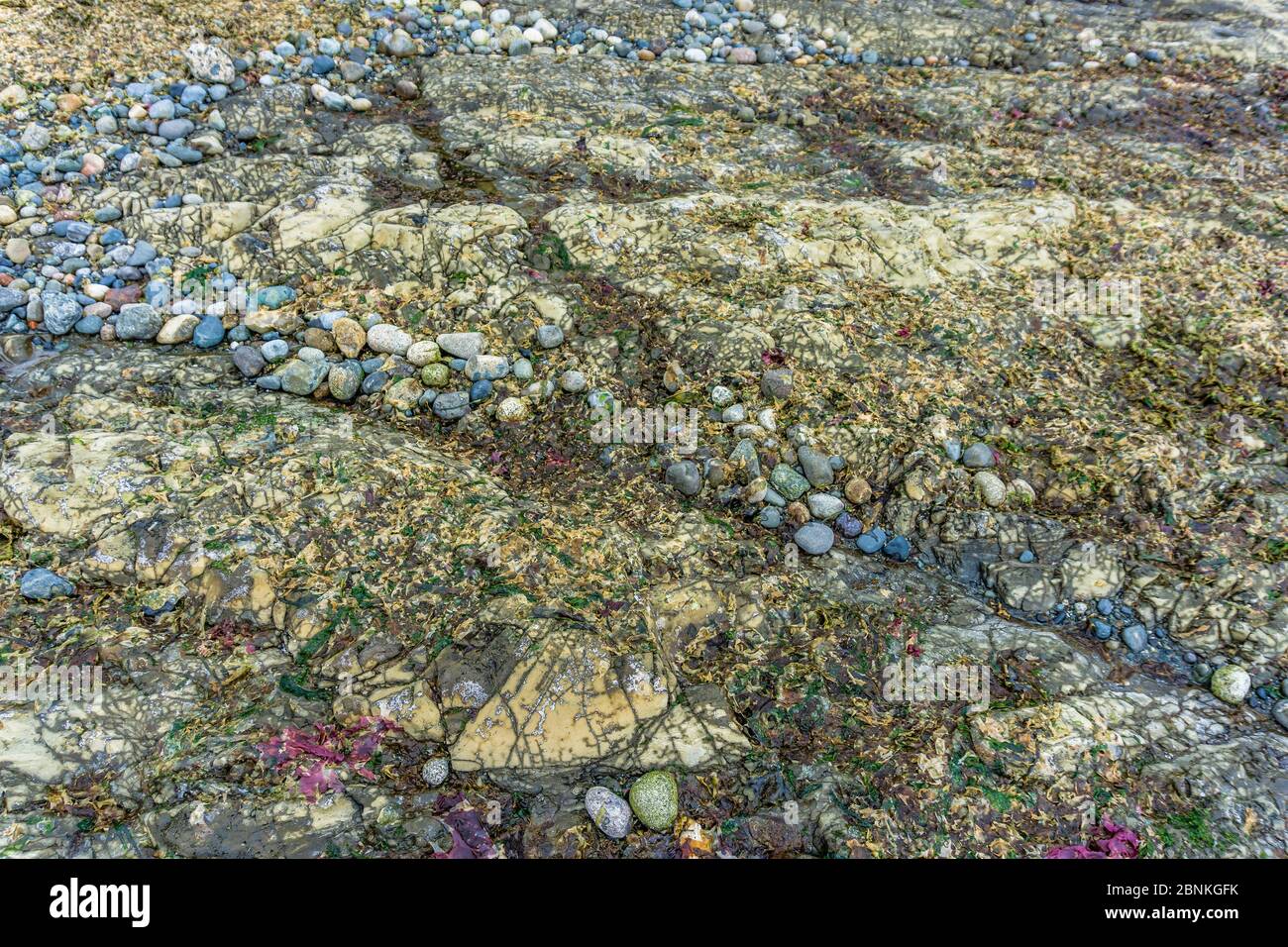 Rocky ocean bed hi-res stock photography and images - Alamy