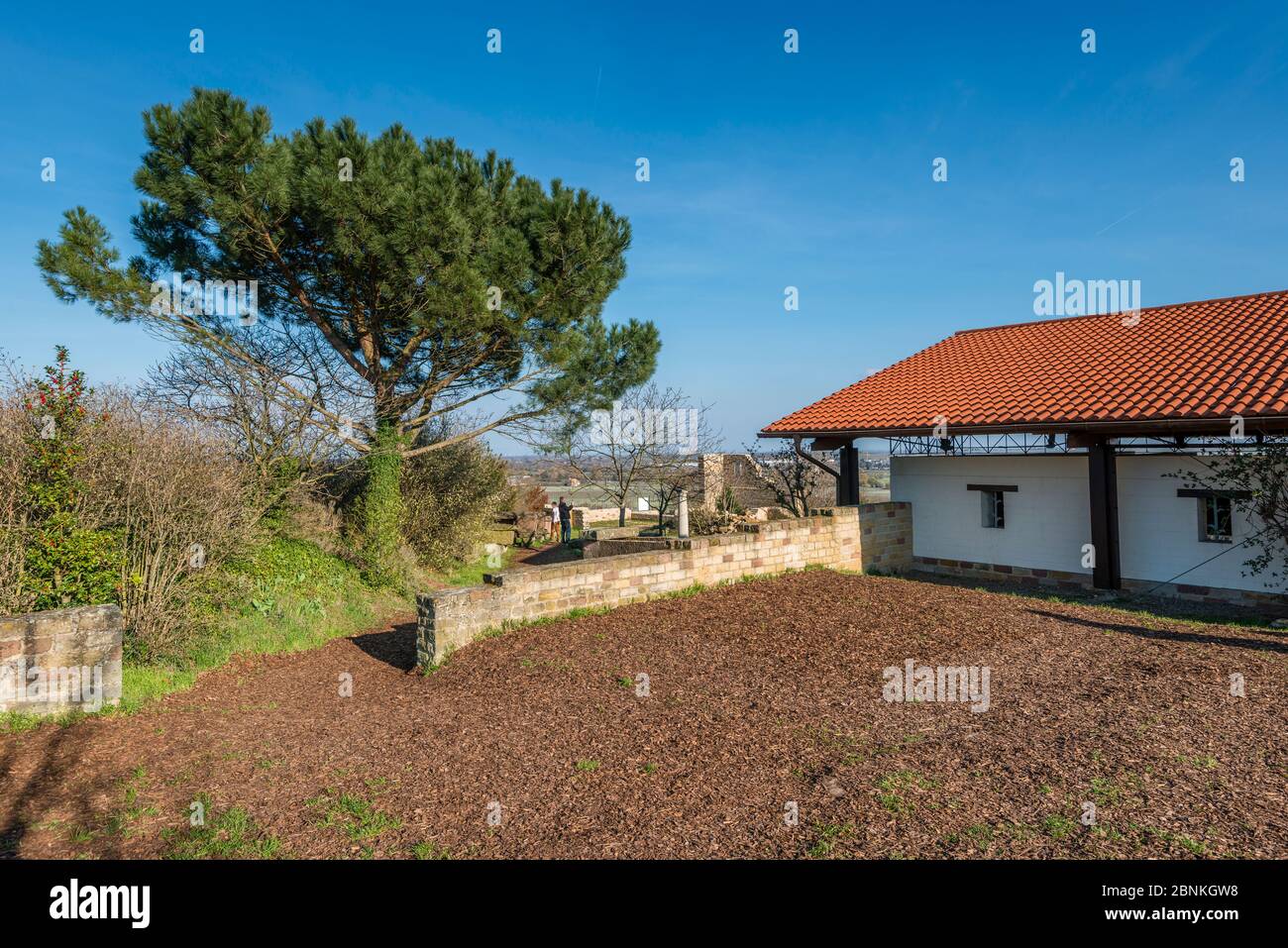 Roman winery near Bad Dürkheim in the Palatinate, "Villa rustica" in ...