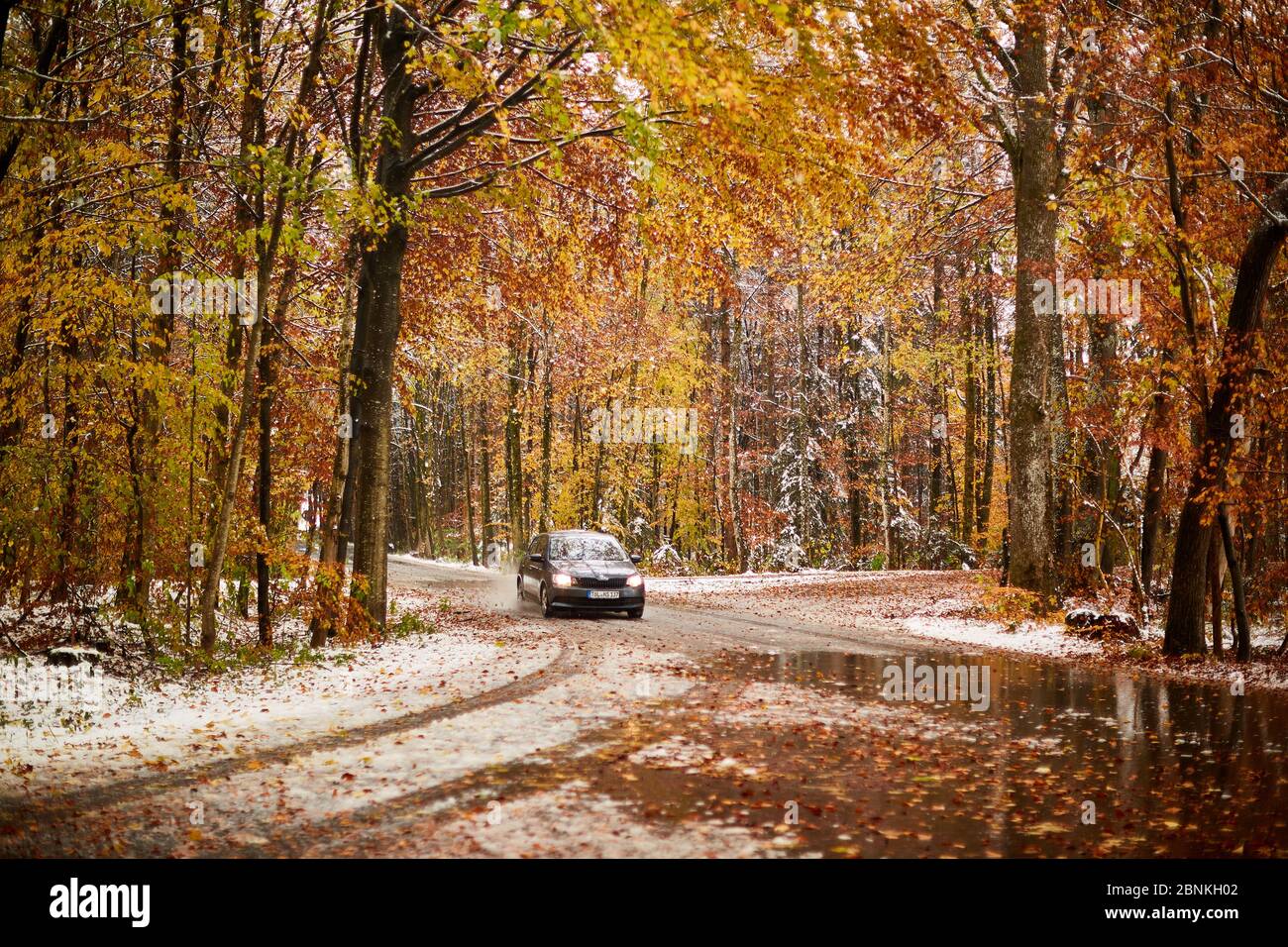 Car leaves road hi-res stock photography and images - Alamy