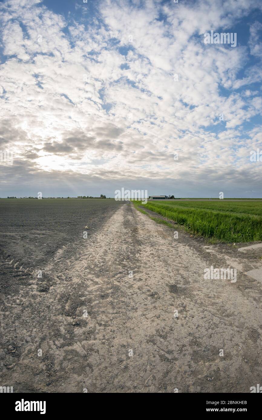 Country road below a dramatic sky is leading into the distance Stock ...