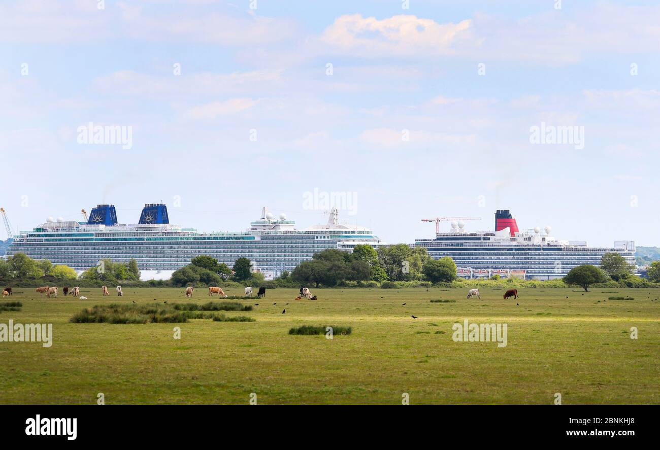 Dibden Bay on the New Forest waterside pictured with Southampton Docks ...