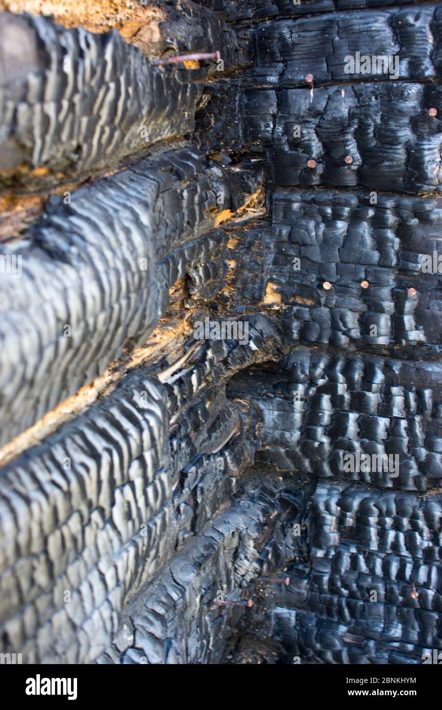 Natural fire ashes with dark grey black coals texture. It is a ...