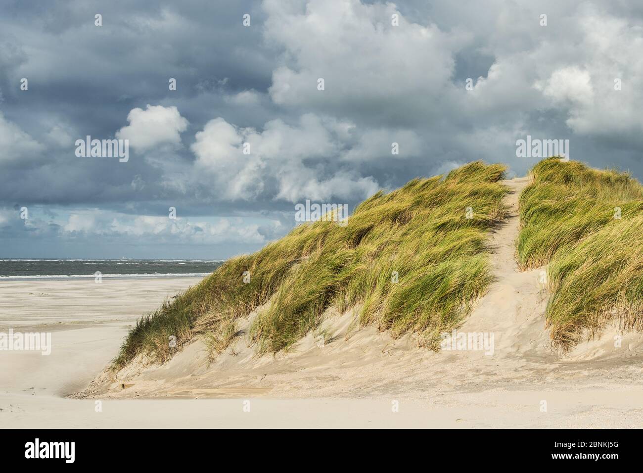 North sea beach hi-res stock photography and images - Alamy