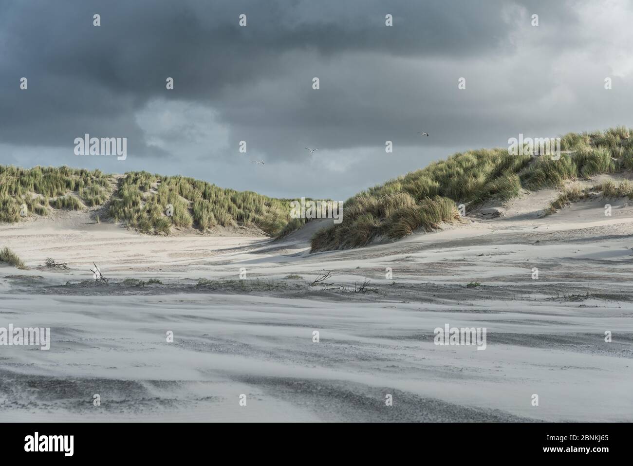 Strong winds hi-res stock photography and images - Alamy