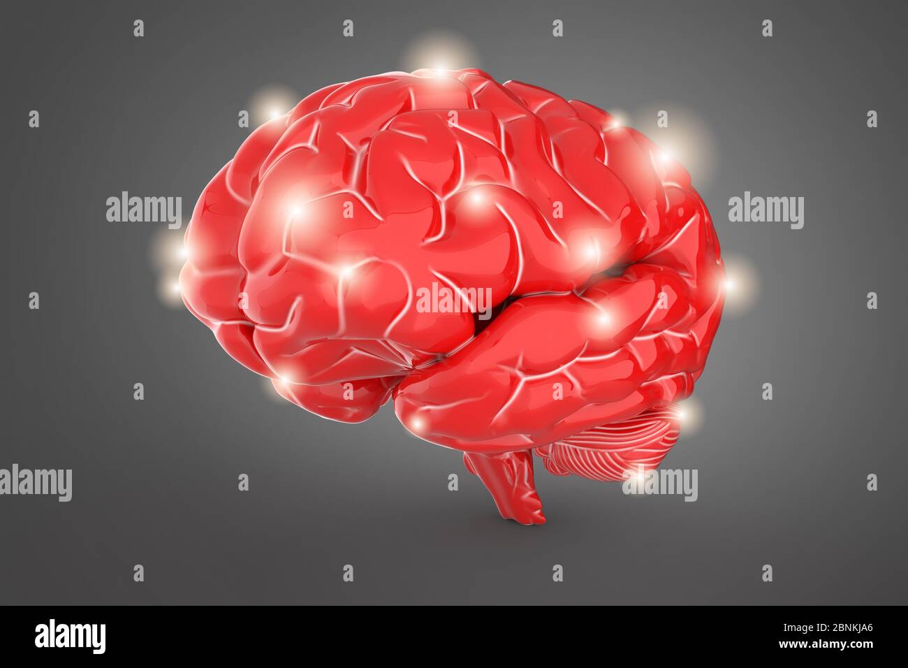 3d illustration of human brain over dark background with soft shadow ...