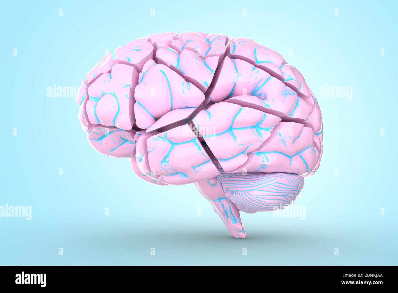 Shattered brain. Conceptual 3d illustration helpful for in visualizing ...