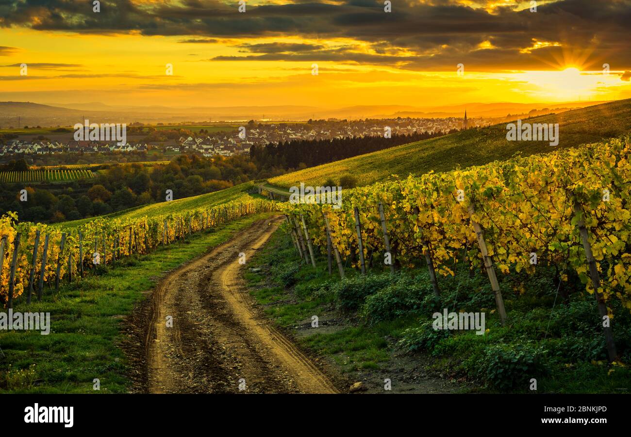 Kiedrich hi-res stock photography and images - Alamy