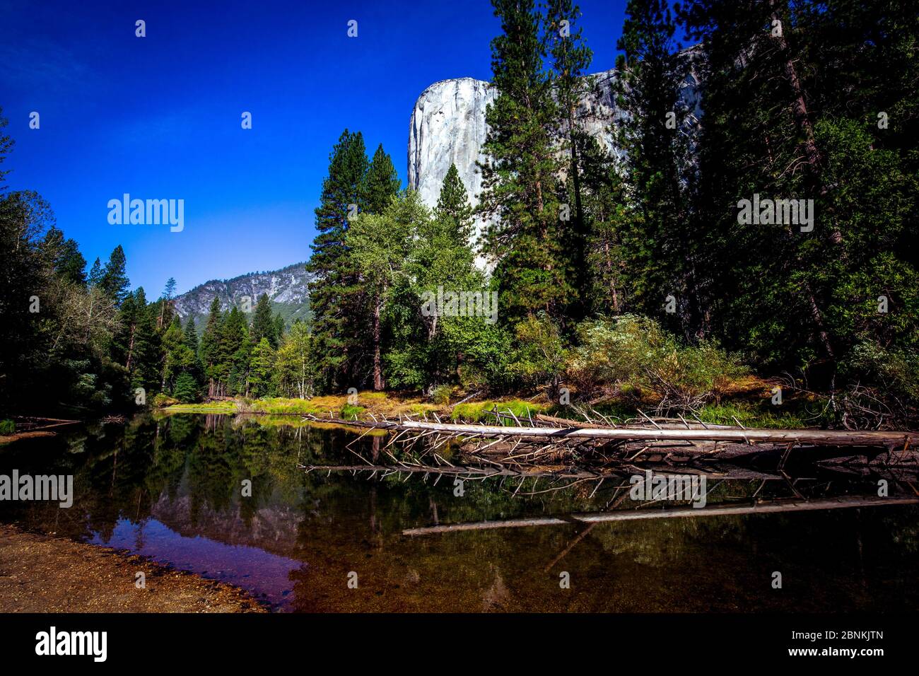 World famous rock climbing wall of El Capitan, Yosemite national park ...