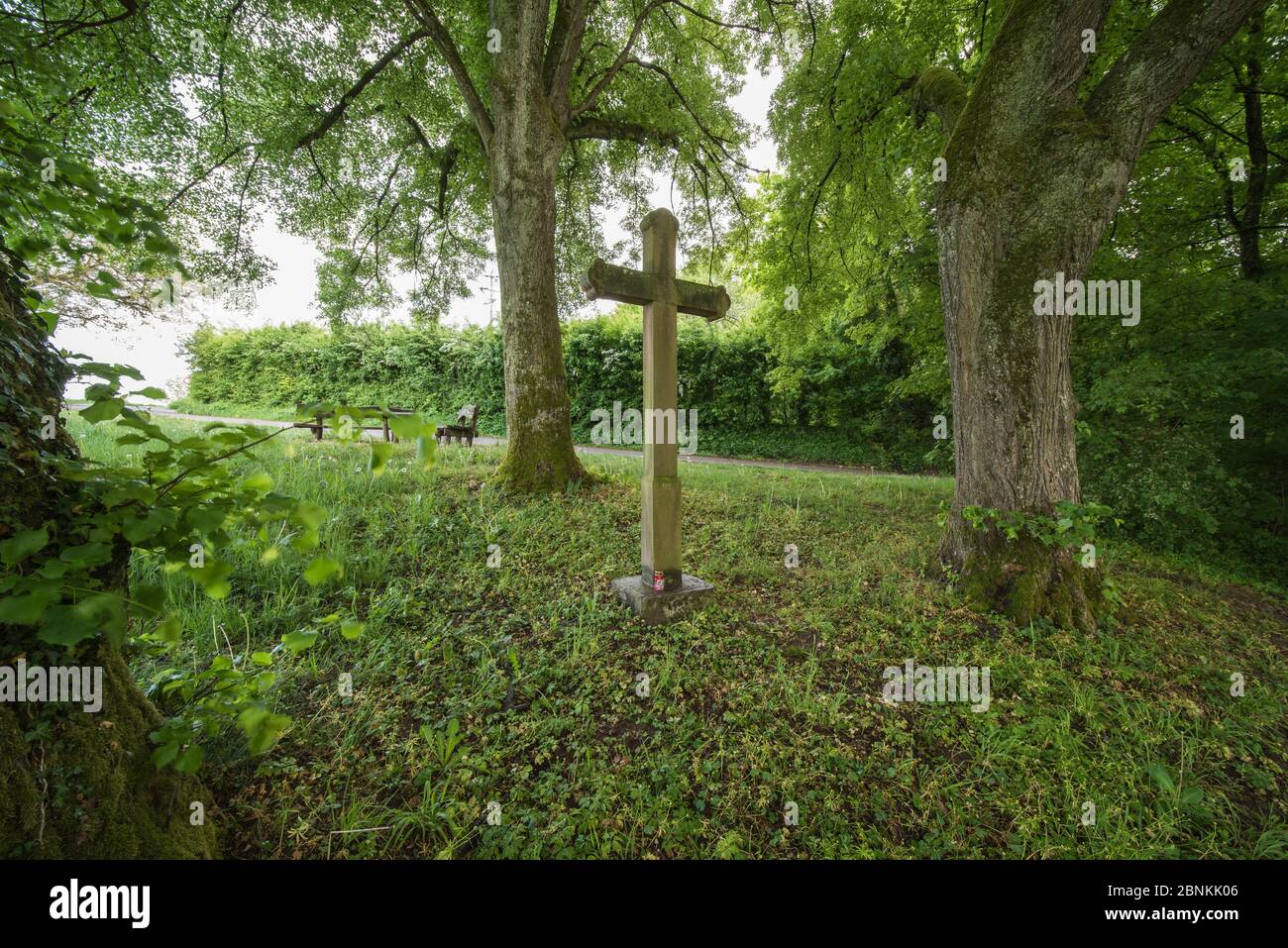 Catholic cross between large trees in nature in Germany Stock Photo - Alamy