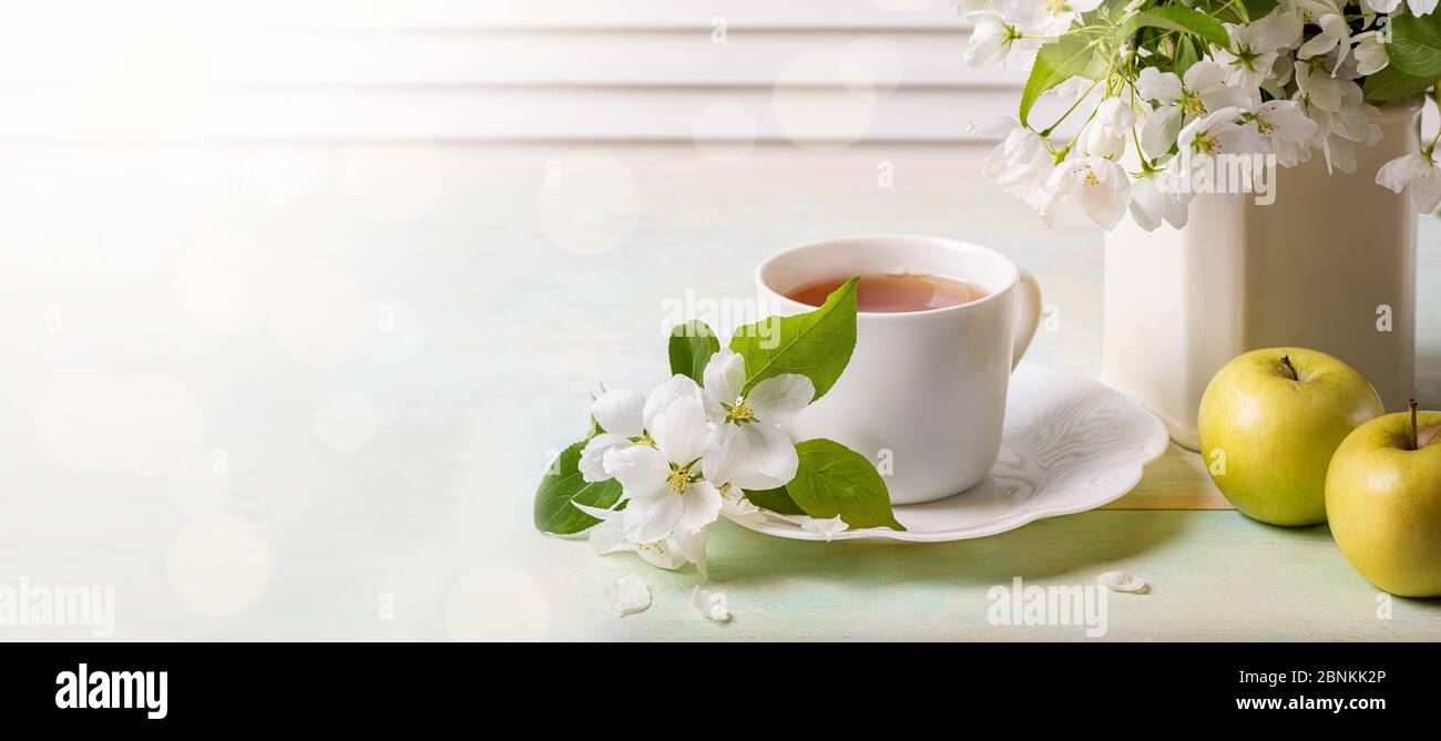 White cup of tea, blossoming apple tree branches and two yellow apples ...