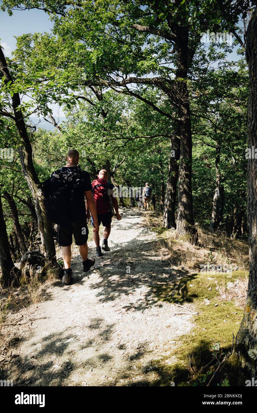 Hikers on the Rheinsteig Stock Photo - Alamy