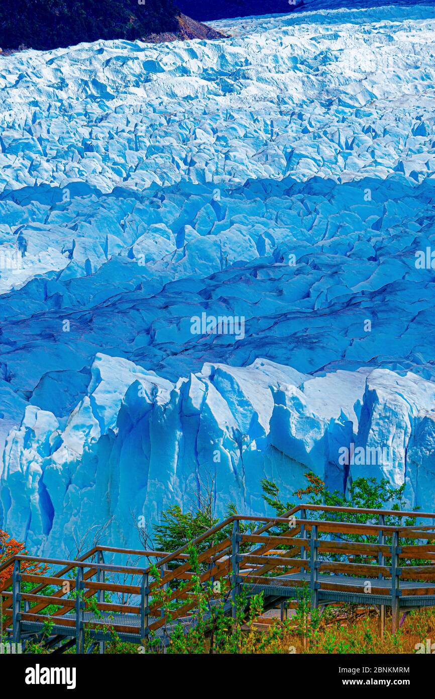 Vertical photo of the blue ice wall of a glacier with a stairs in front ...
