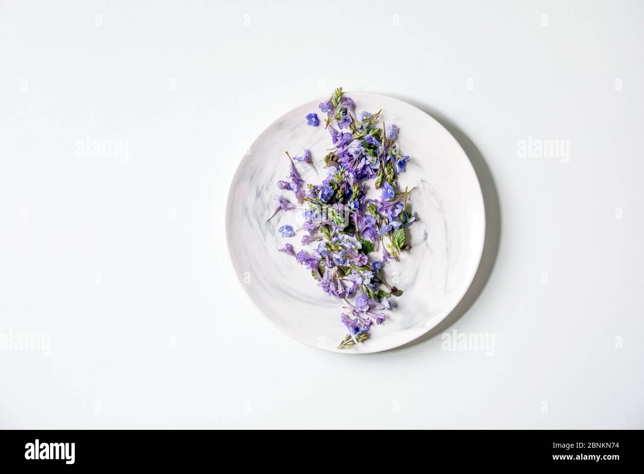 Edible flowers on plate Stock Photo - Alamy