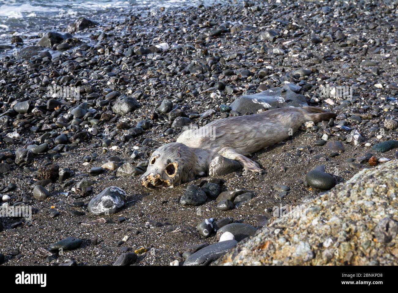 Emotional illness hi-res stock photography and images - Alamy