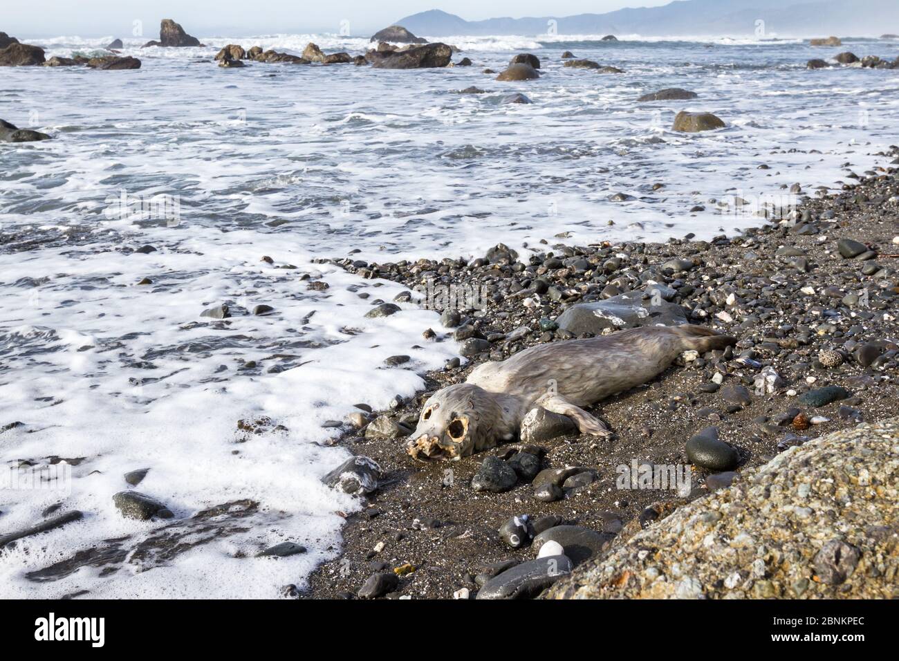 Emotional illness hi-res stock photography and images - Alamy
