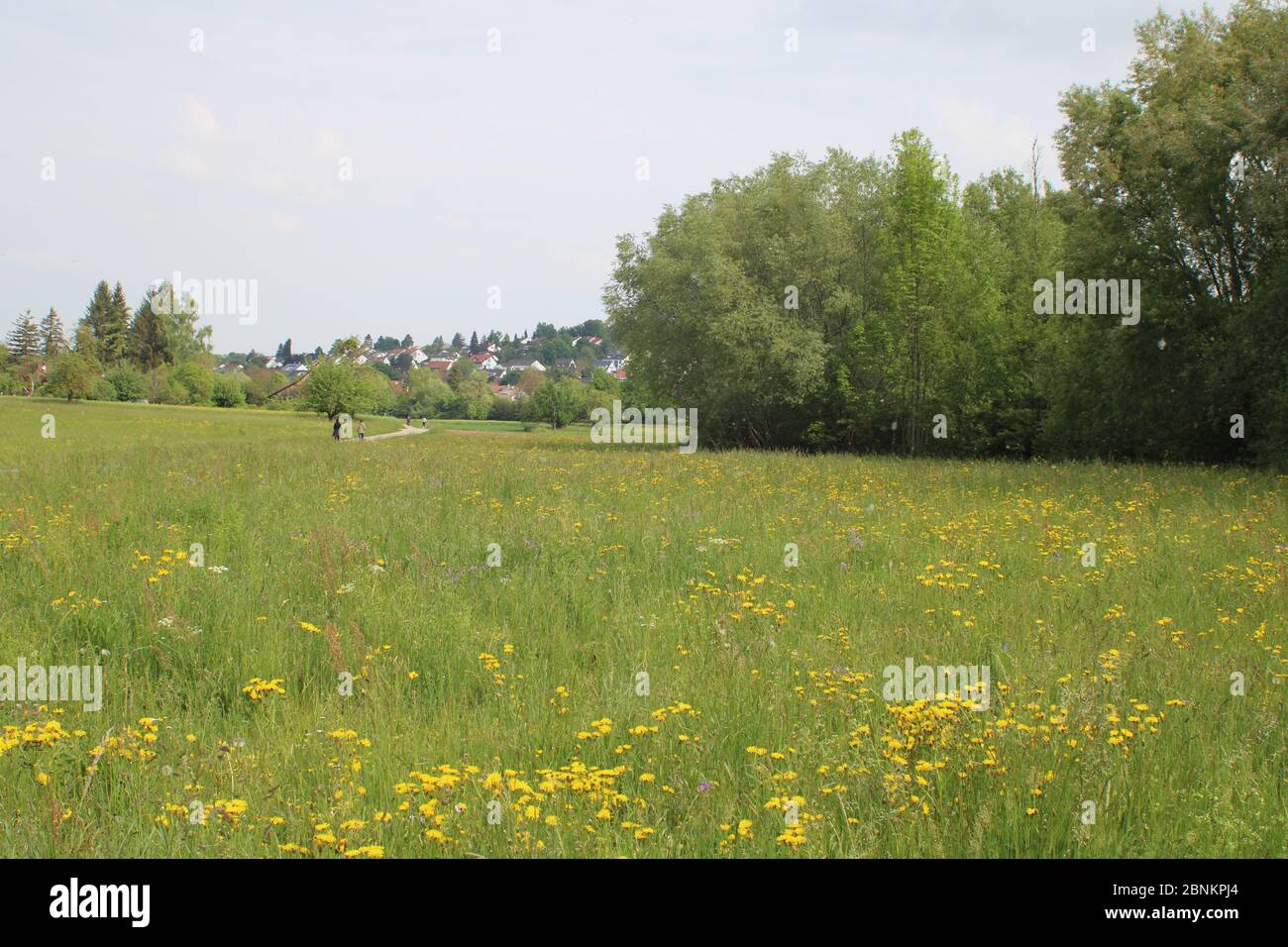 Fresh meadow perspective hi-res stock photography and images - Alamy