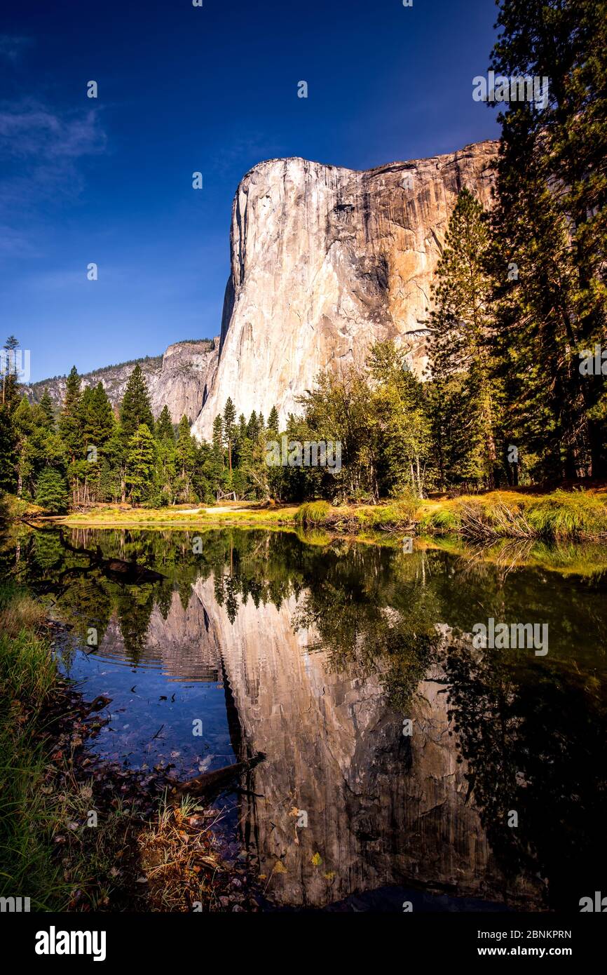World famous rock climbing wall of El Capitan, Yosemite national park ...