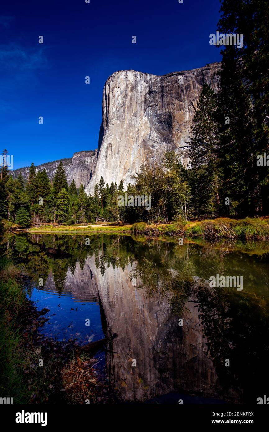 World famous rock climbing wall of El Capitan, Yosemite national park ...
