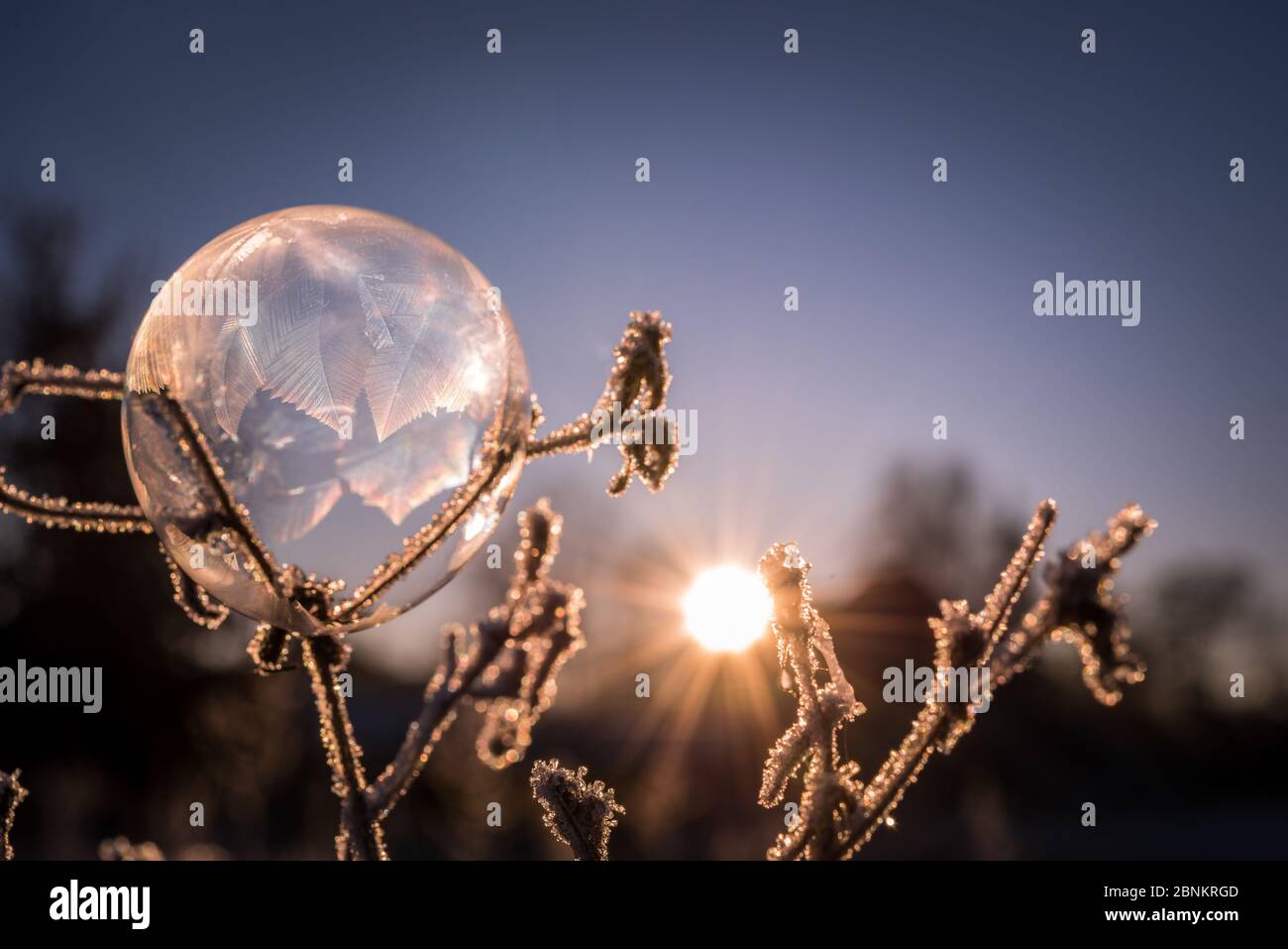 frozen soap bubble Stock Photo - Alamy