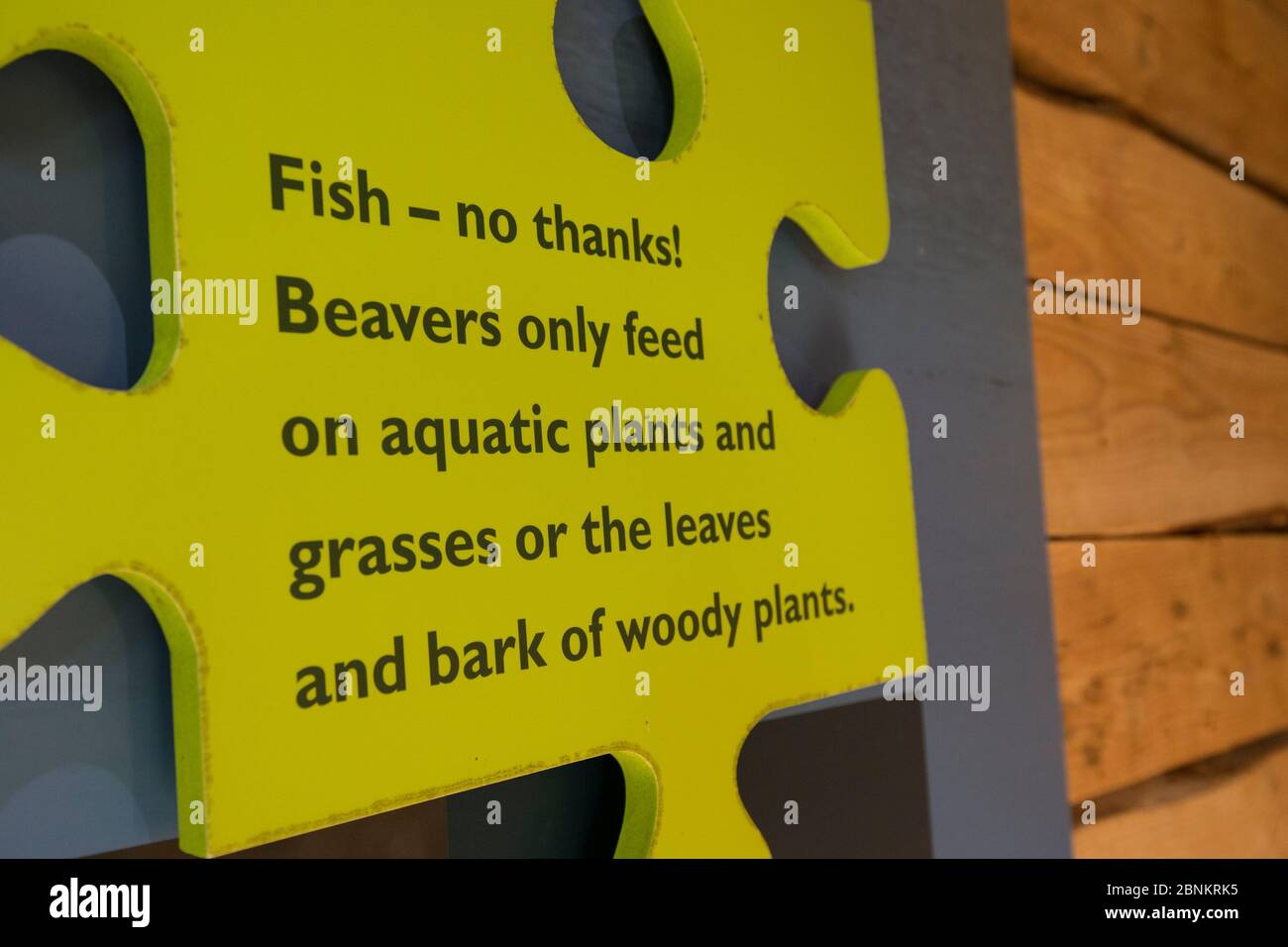 Interpretation sign at Scottish Beaver Trial, Knapdale Forest, Argyll ...