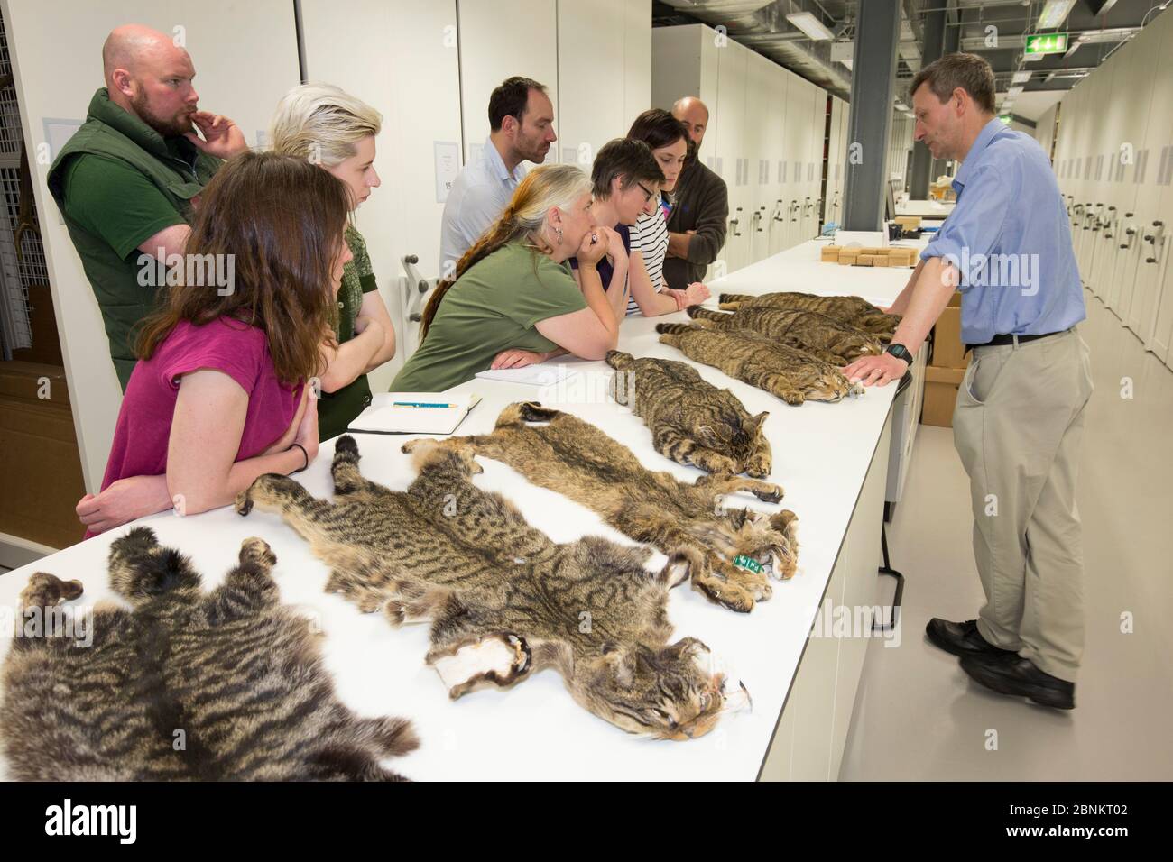 Project staff hi-res stock photography and images - Alamy