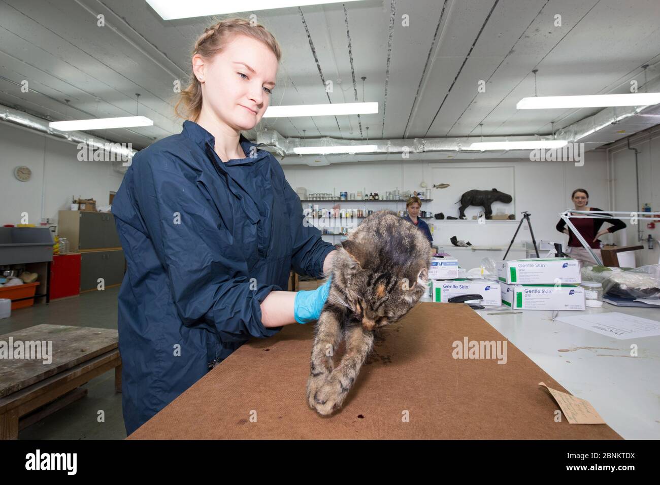 Post mortem hi-res stock photography and images - Alamy