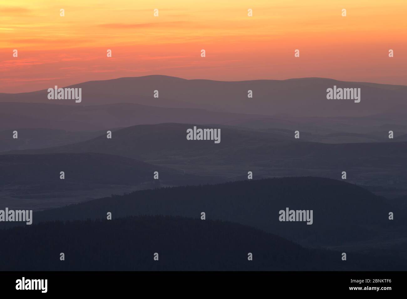 Sunrise over Abernethy Forest, Cairngorms National Park, Scotland, UK ...