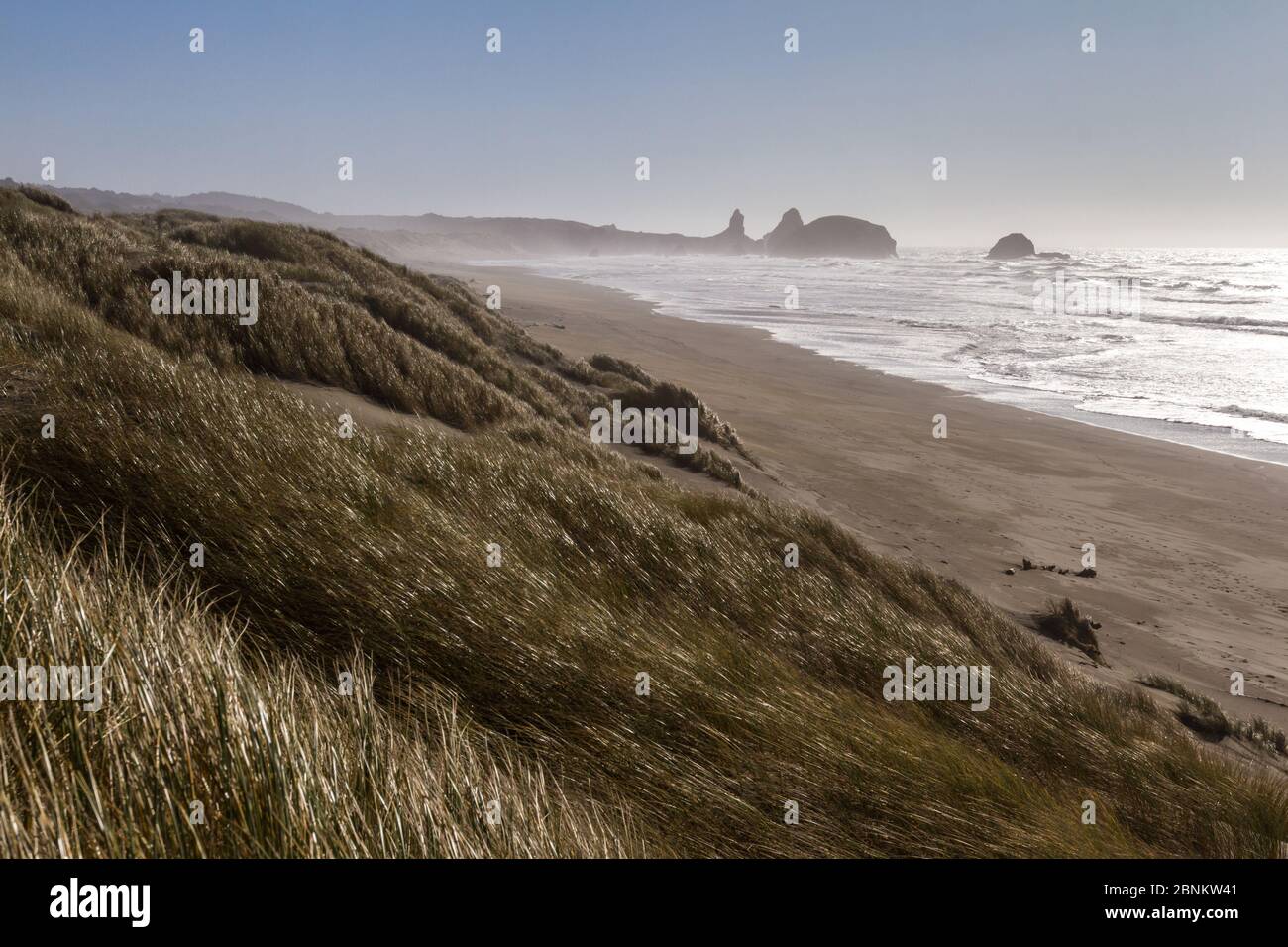 Pistol river beach hi-res stock photography and images - Alamy