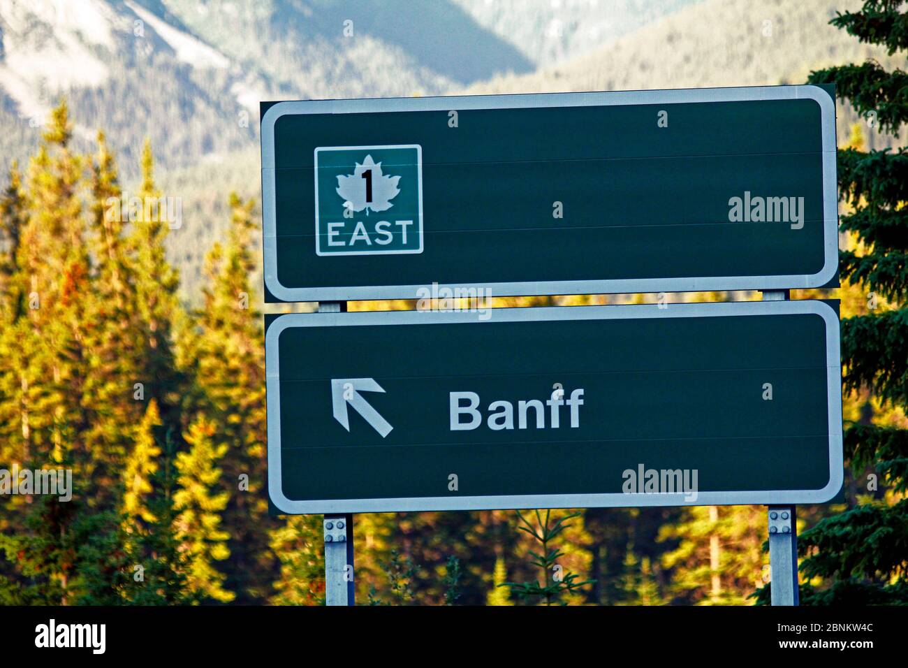 Street signs at Banff, Banff National Park, Alberta, Rocky Mountains ...