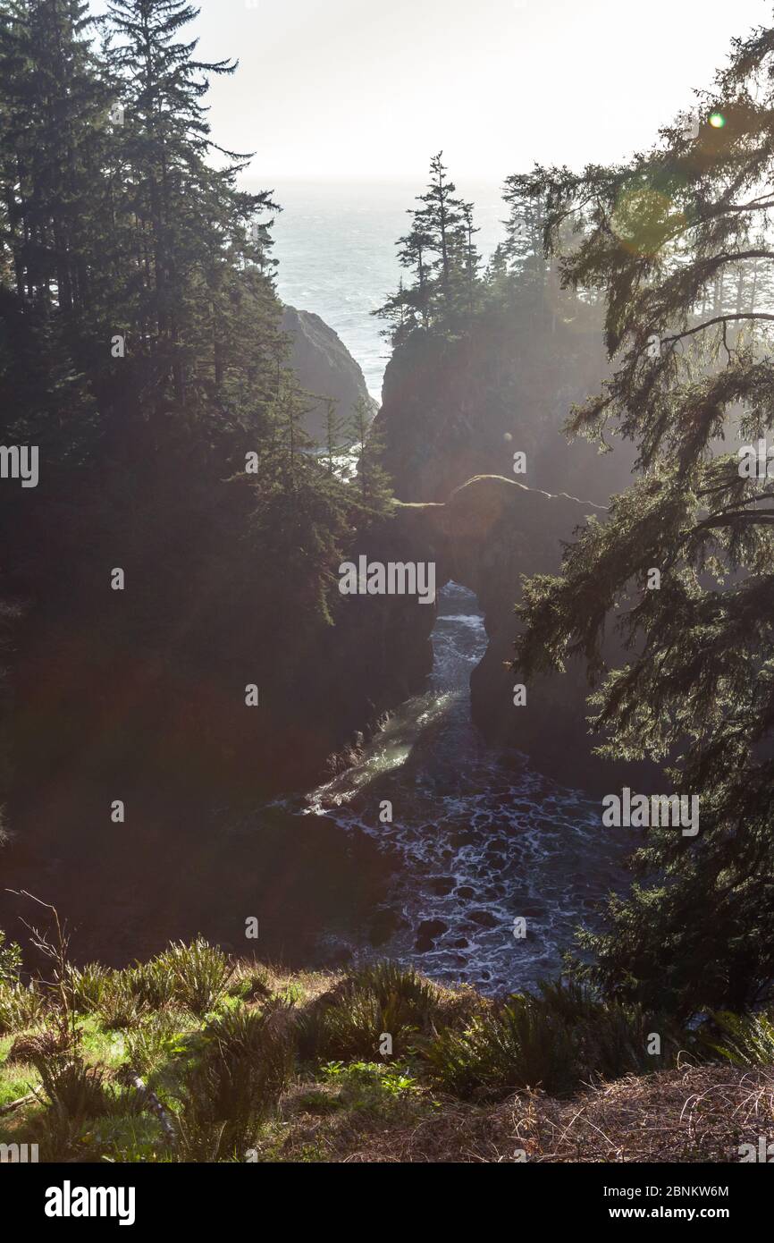Evergreen trees and rocky cliffs all around the Natural Bridge feature ...
