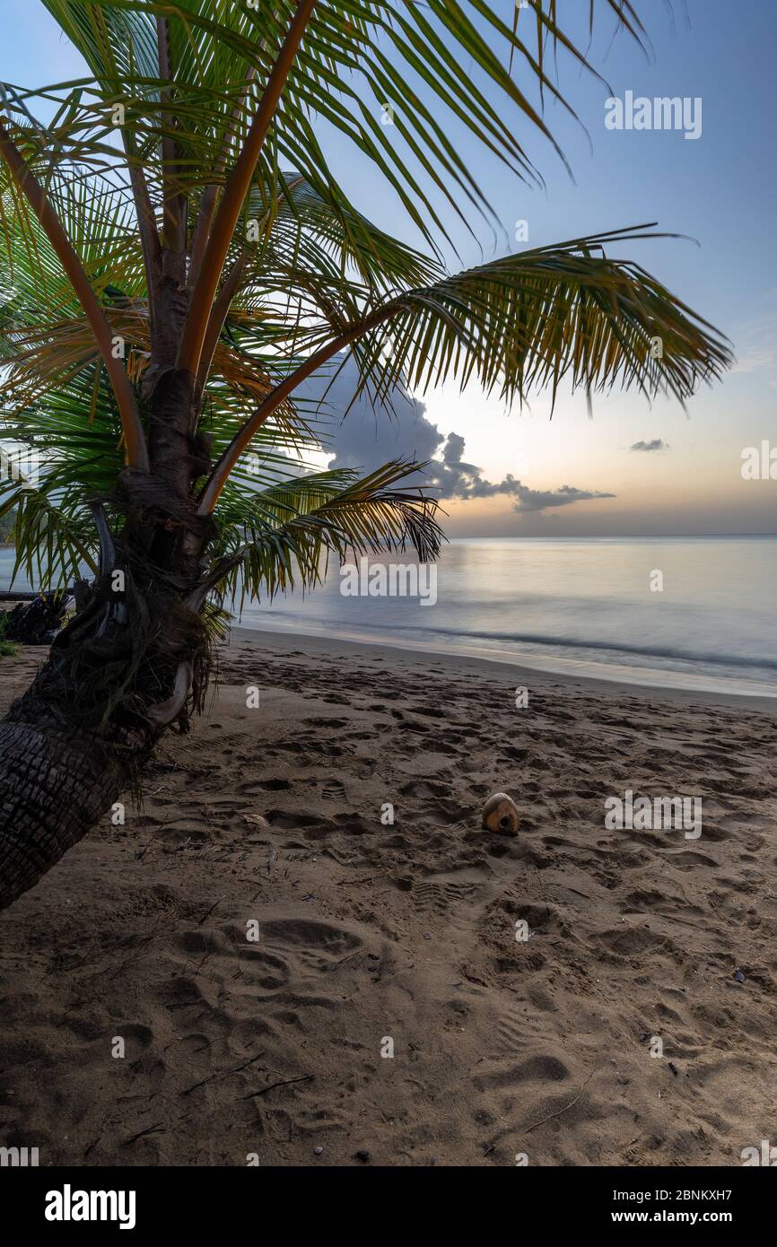 America, Caribbean, Greater Antilles, Dominican Republic, Samaná, Las ...