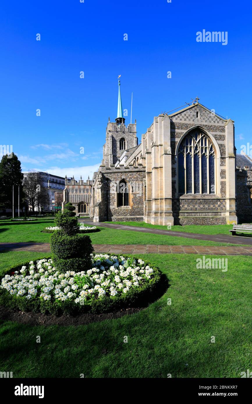Spring view of Chelmsford Cathedral, Chelmsford City, Essex County ...