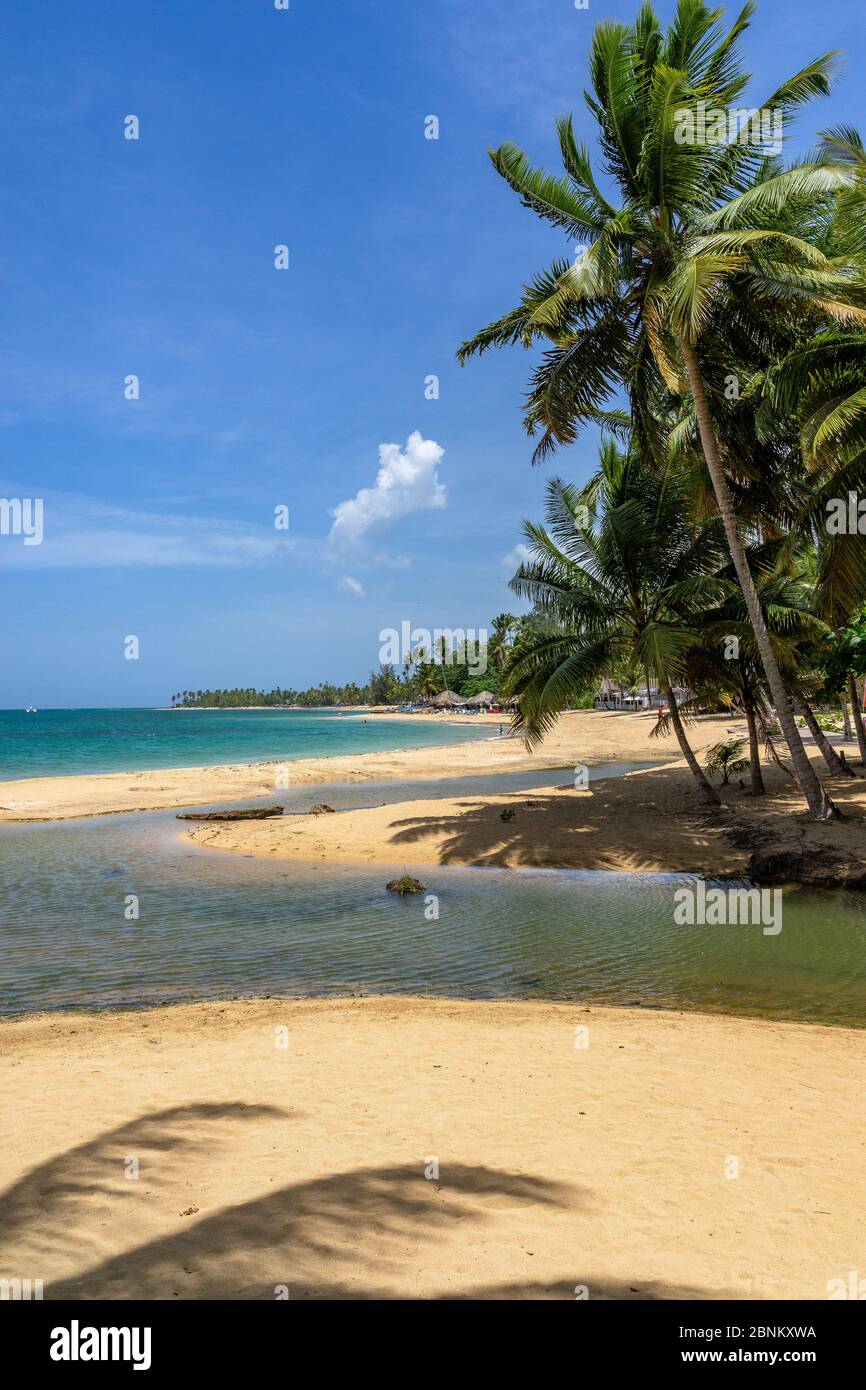 America, Caribbean, Greater Antilles, Dominican Republic, Samaná, Las ...