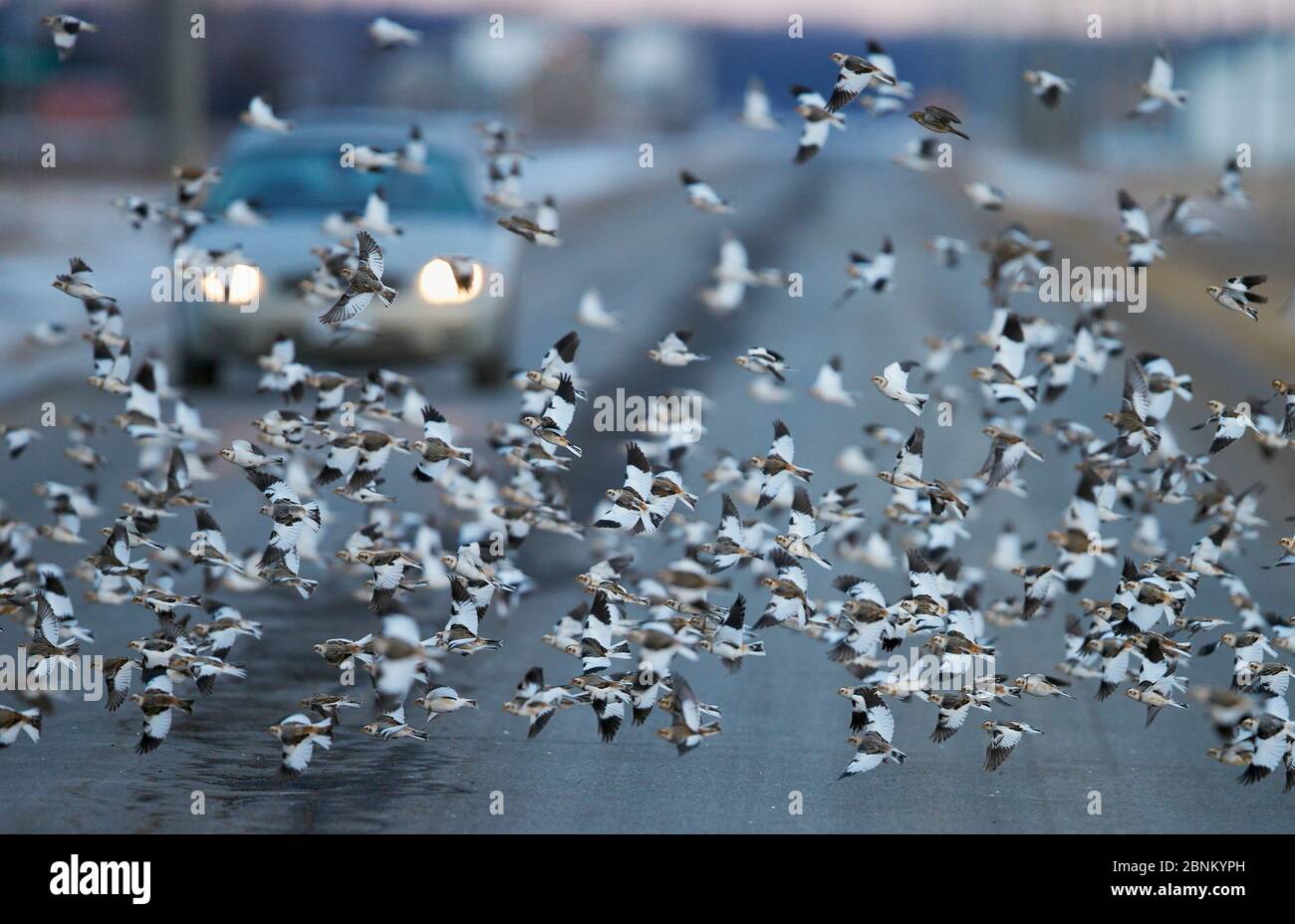 Fly over road hi-res stock photography and images - Alamy